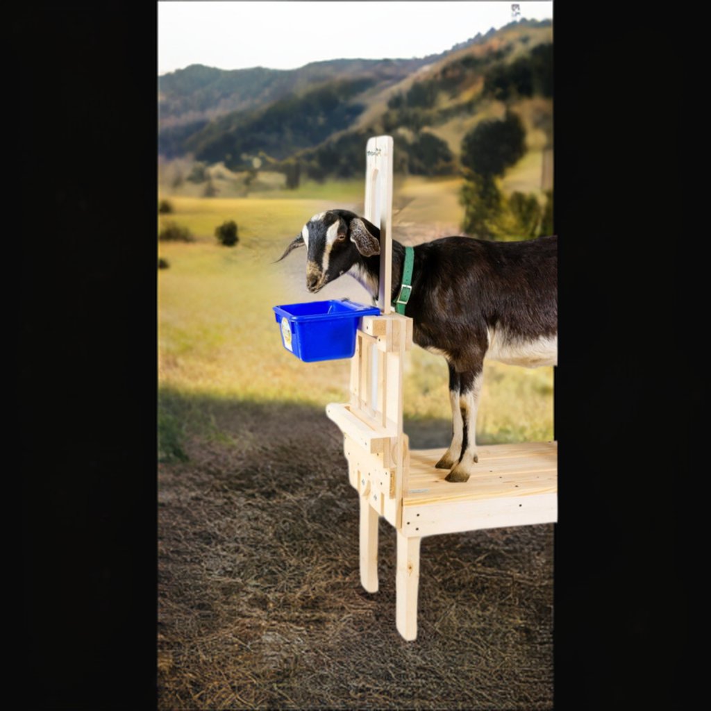 Premium Goat Trimming Stands | Shop Online Now at Goat Stand Premium ...